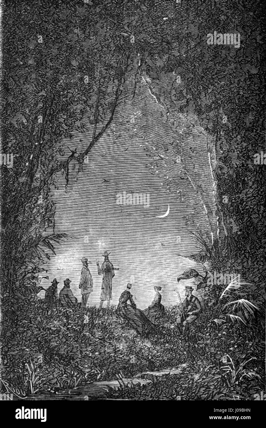 'The Children of Captain Grant' by Édouard Riou depicts a dramatic ...