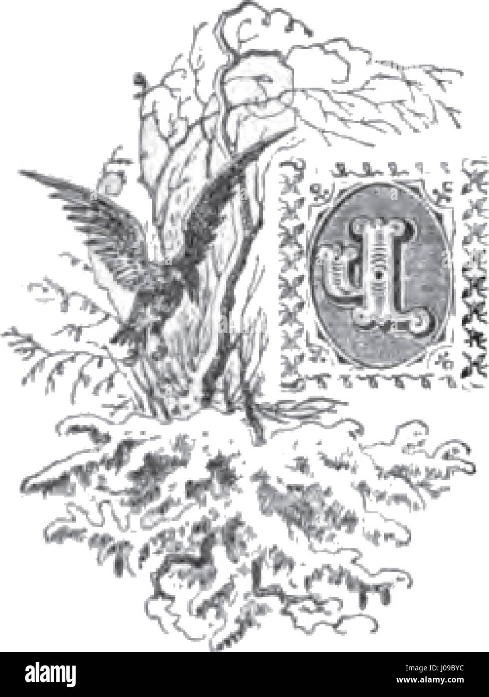 This String Of Characters Appears To Represent Hexadecimal Data Which May Be Used For Digital