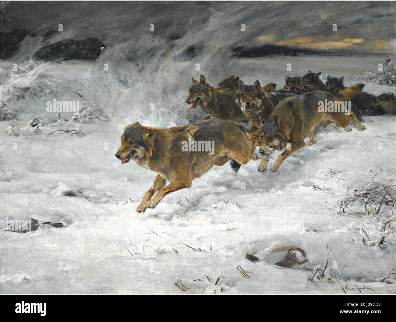 'Stado wilków' (Wolf Pack) by Alfred Kowalski-Wierusz depicts a pack of ...