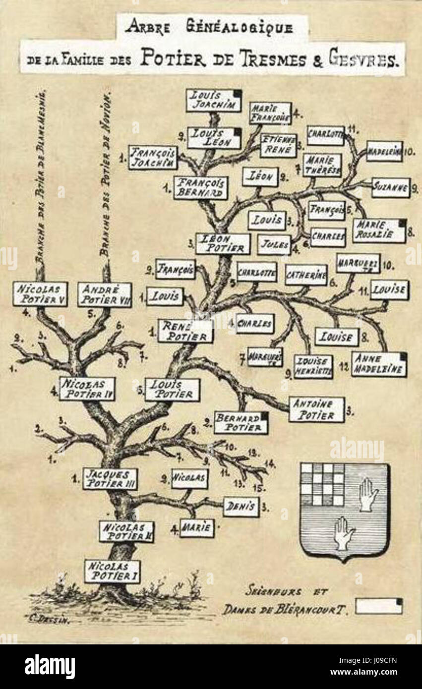 The genealogical tree of the Potier de Tresme et Gesvres family traces ...