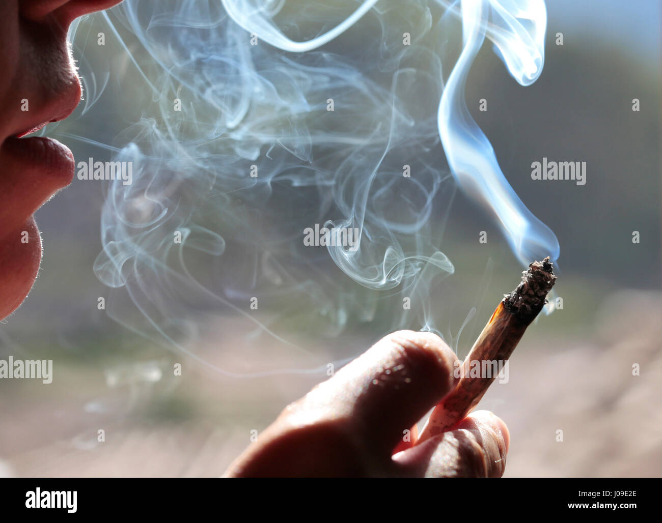 smoking Rolling cigarette Stock Photo - Alamy