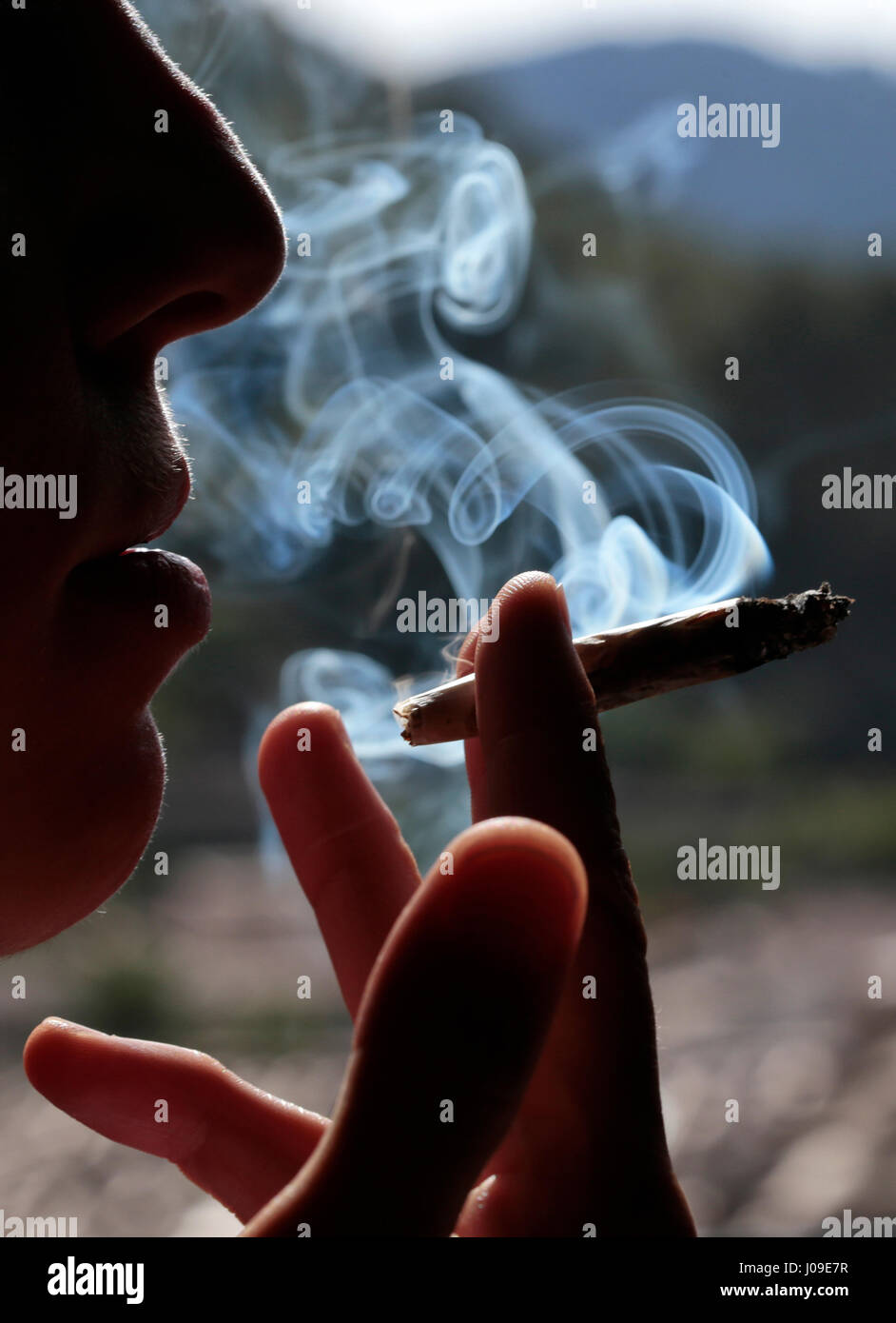 smoking Rolling cigarette Stock Photo - Alamy