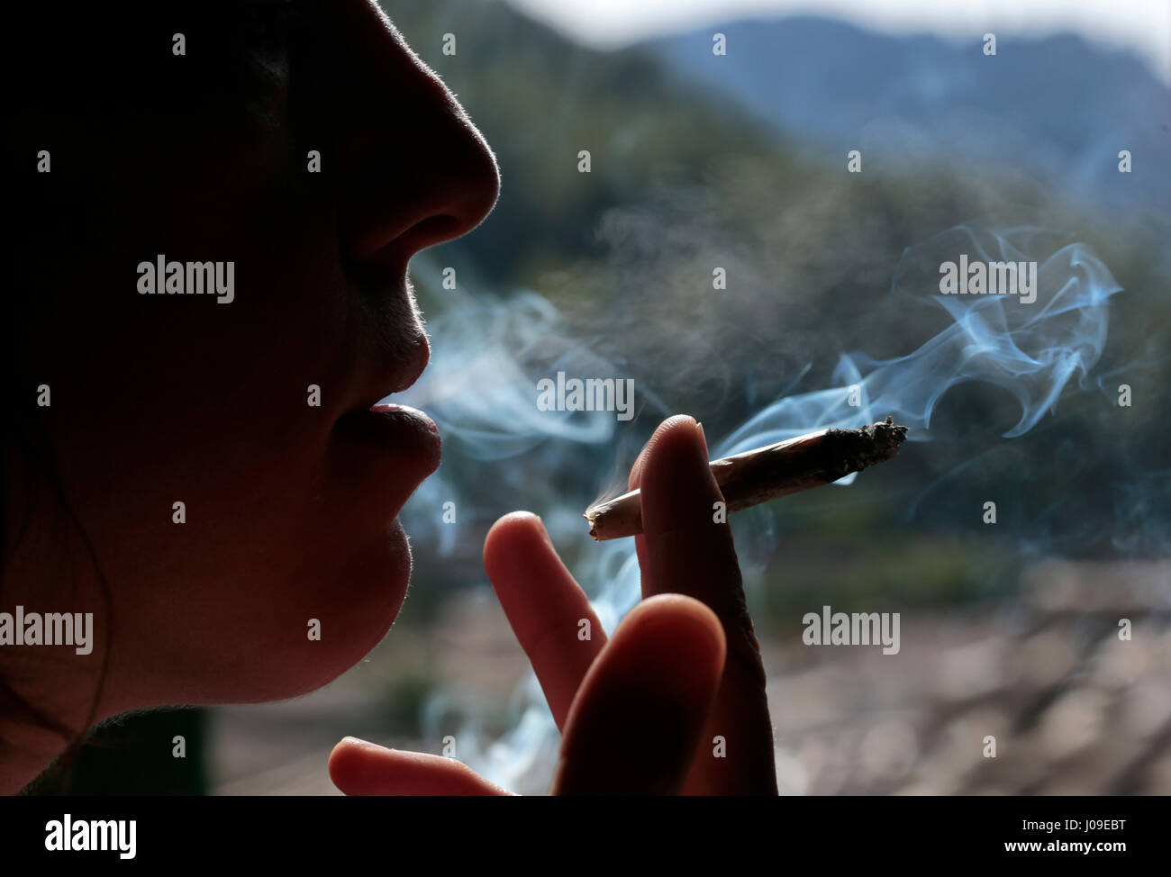 smoking Rolling cigarette Stock Photo - Alamy