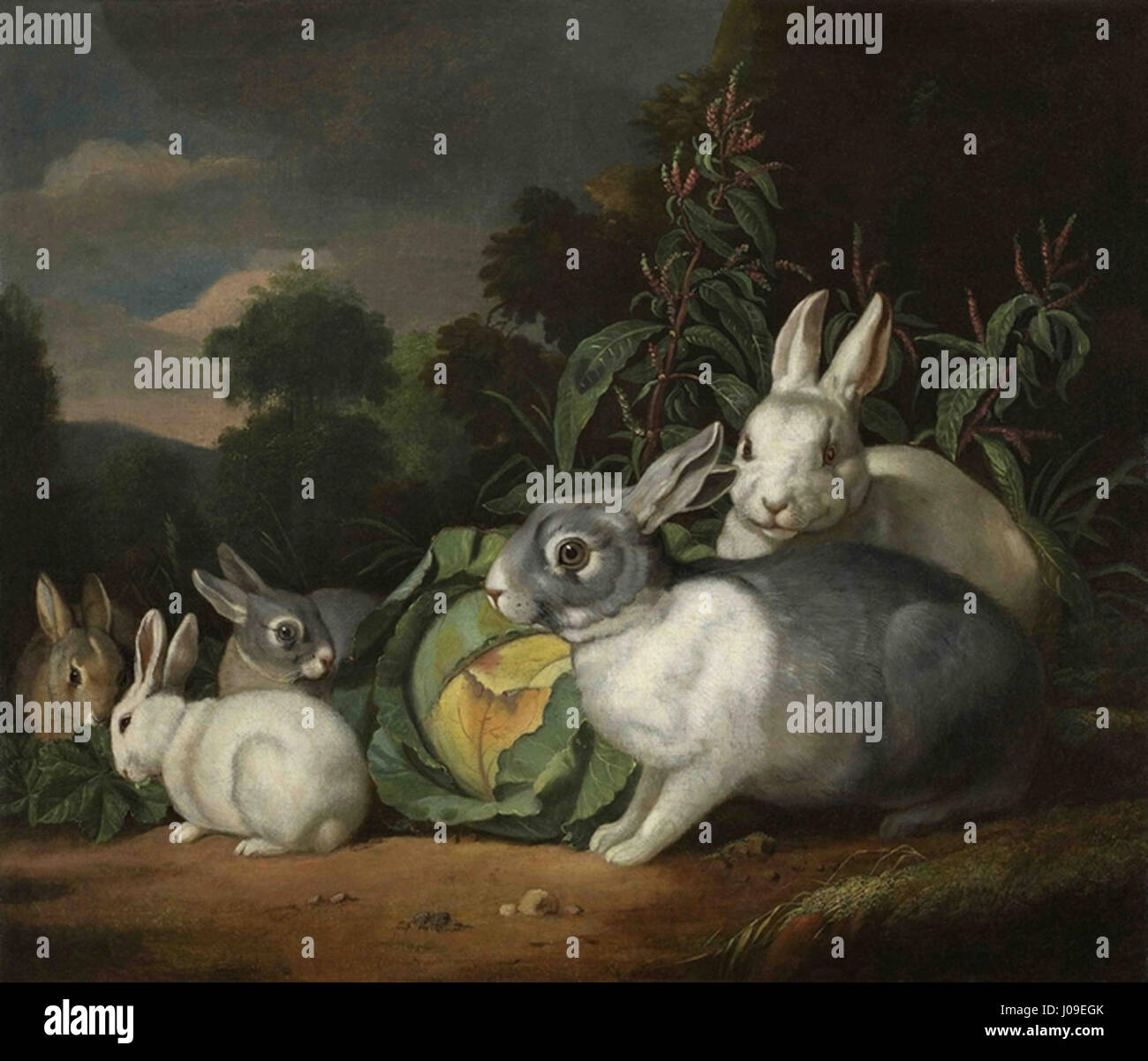 Jakob samuel beck hi-res stock photography and images - Alamy