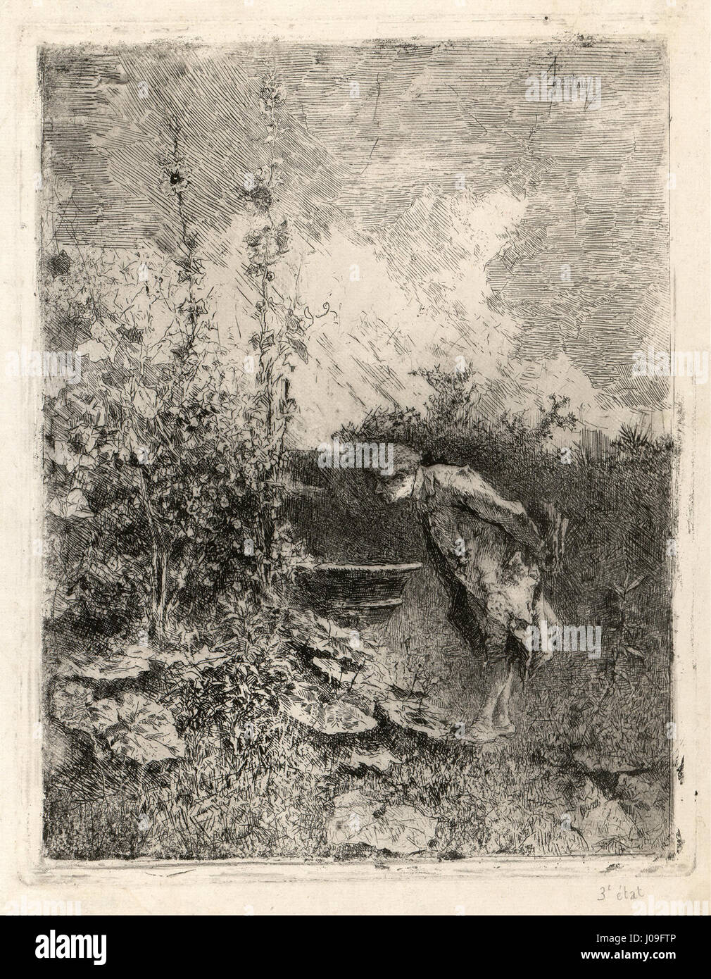 'The Botanist' is a painting by Spanish artist Marià Fortuny, depicting ...