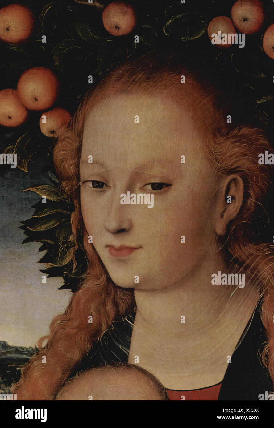 Lucas Cranach the Younger was a German Renaissance painter known for ...