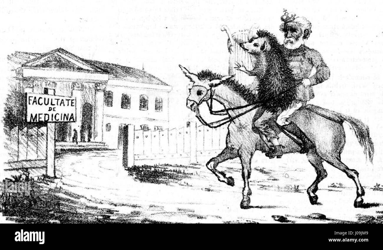 Sander & Co.’s depiction of Poetu Sarsaila and Arici is a significant ...