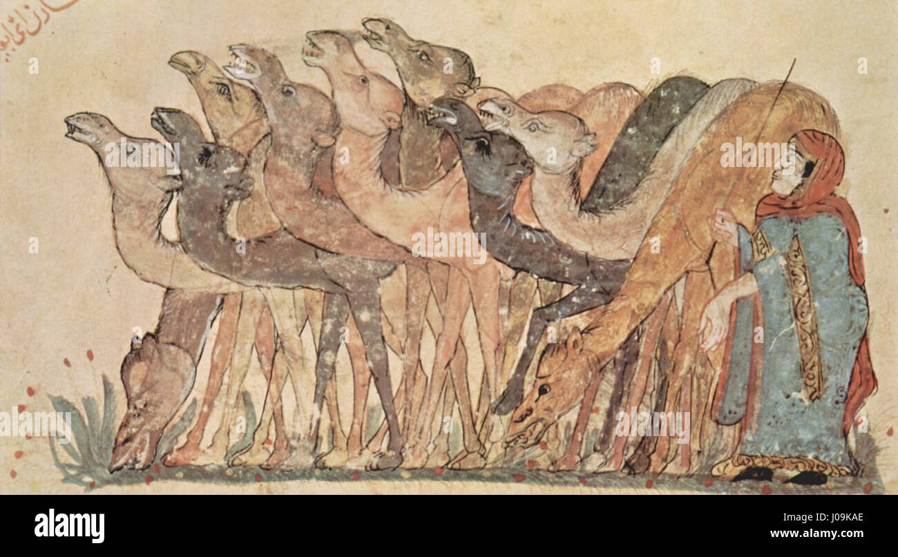 Medieval arab manuscript hi-res stock photography and images - Alamy