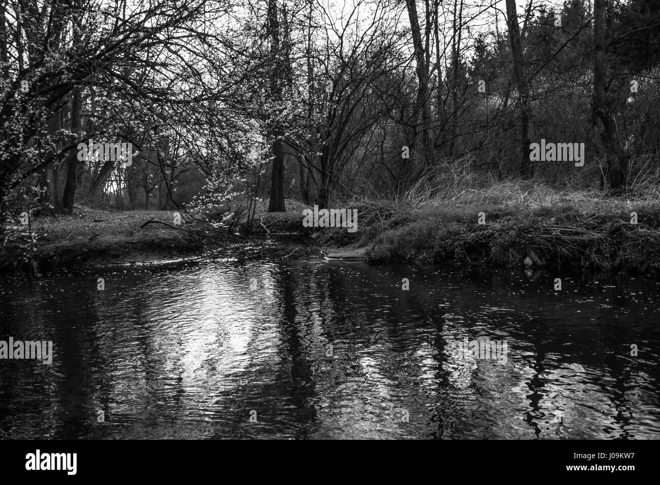 Natural background early spring Black and White Stock Photos & Images ...