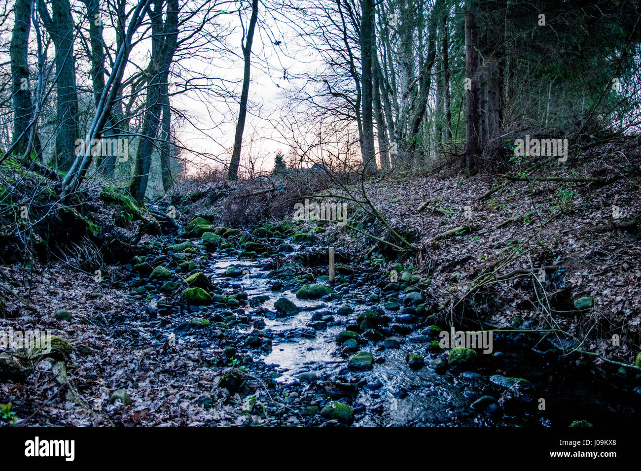 River rock rocks texture stream water background clear beautiful hi-res ...