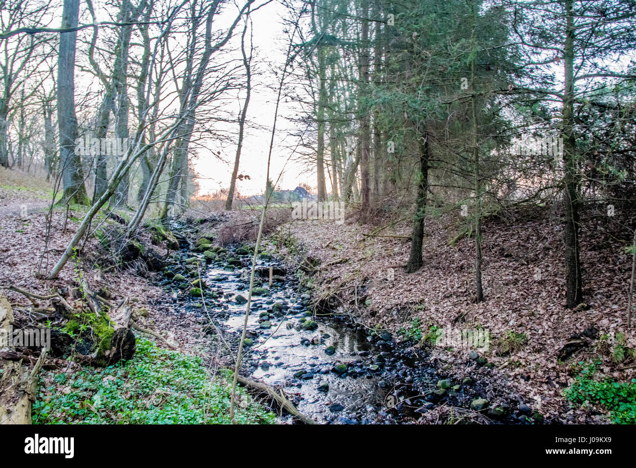 river with rocks at sunset Stock Photo - Alamy