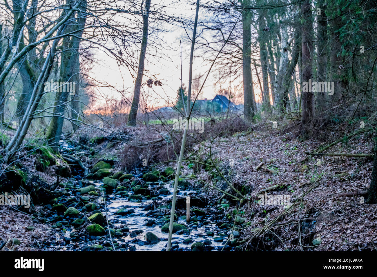 River rock rocks texture stream water background clear beautiful hi-res ...