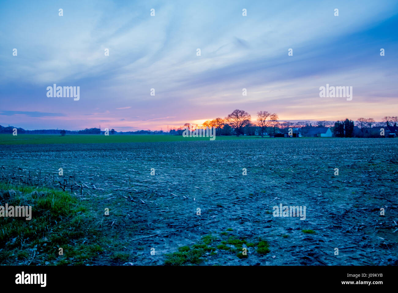 long green field at sunset Stock Photo - Alamy