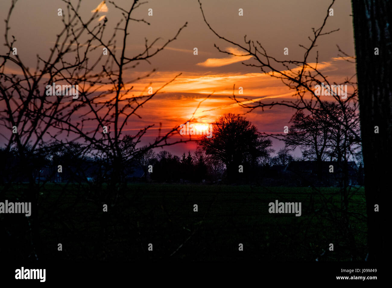 sunset in Europe Germany with a green field Stock Photo - Alamy