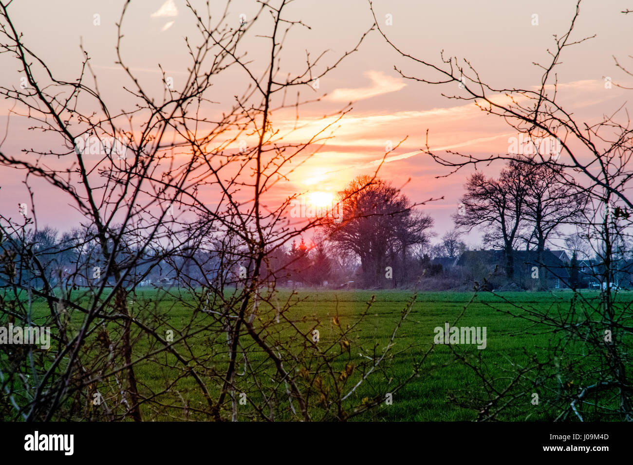 sunset in Europe Germany with a green field Stock Photo - Alamy