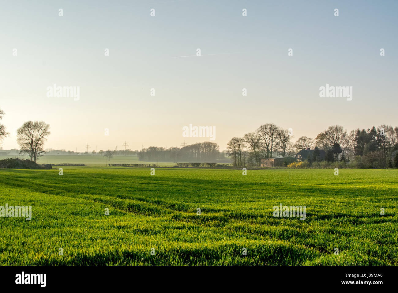 big long green field at sunset with beautiful view Stock Photo - Alamy