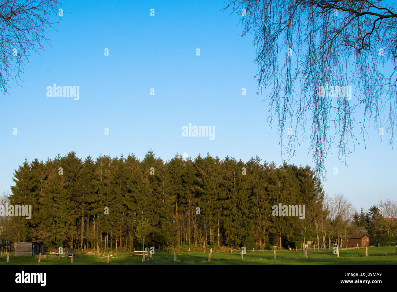 Big sun green plantation hi-res stock photography and images - Alamy
