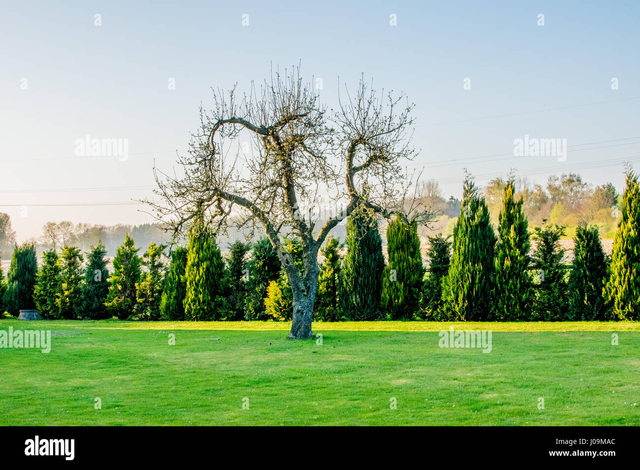 big long green field at sunset with beautiful view Stock Photo - Alamy