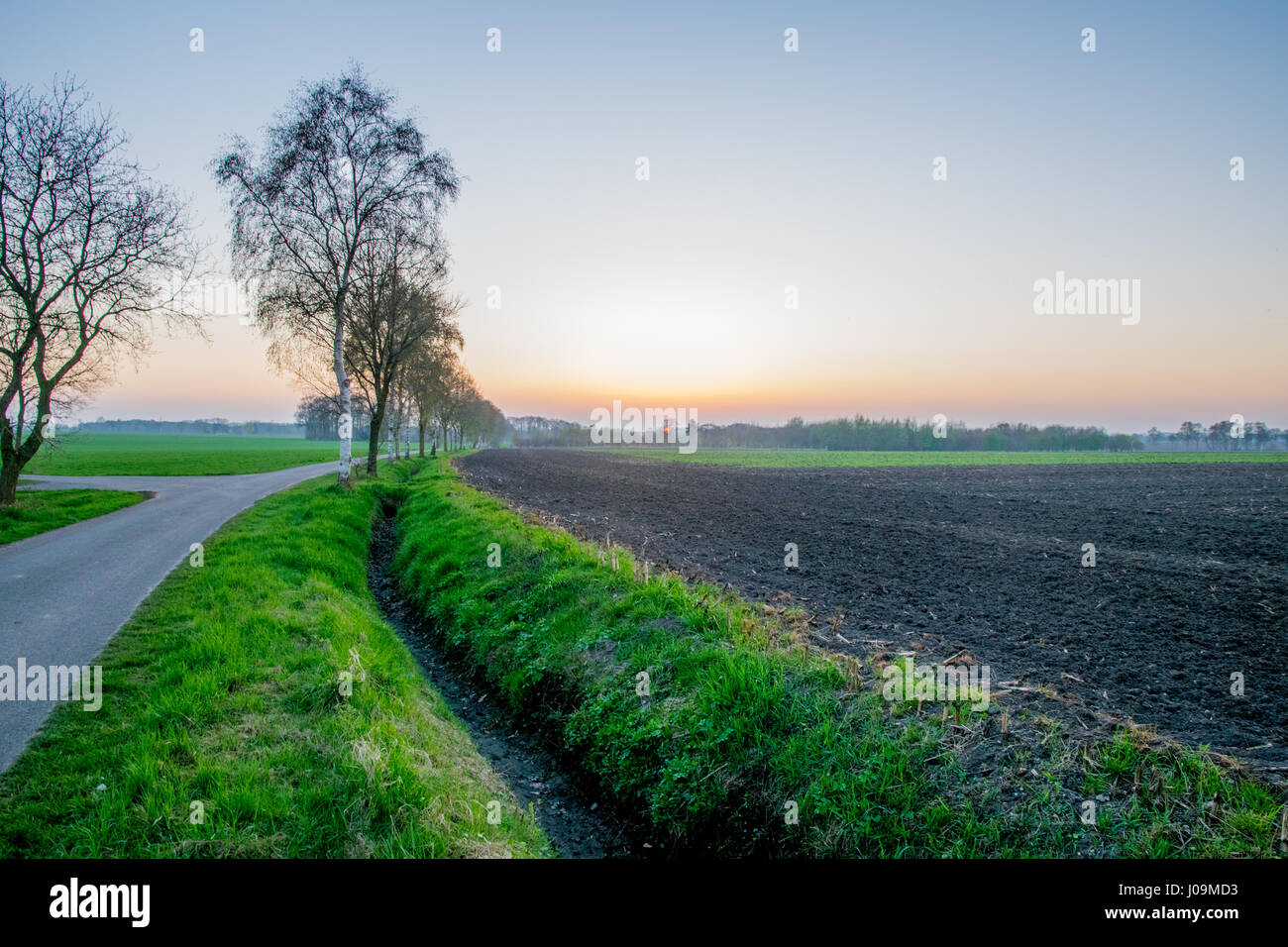 big long green field at sunset with beautiful view Stock Photo - Alamy