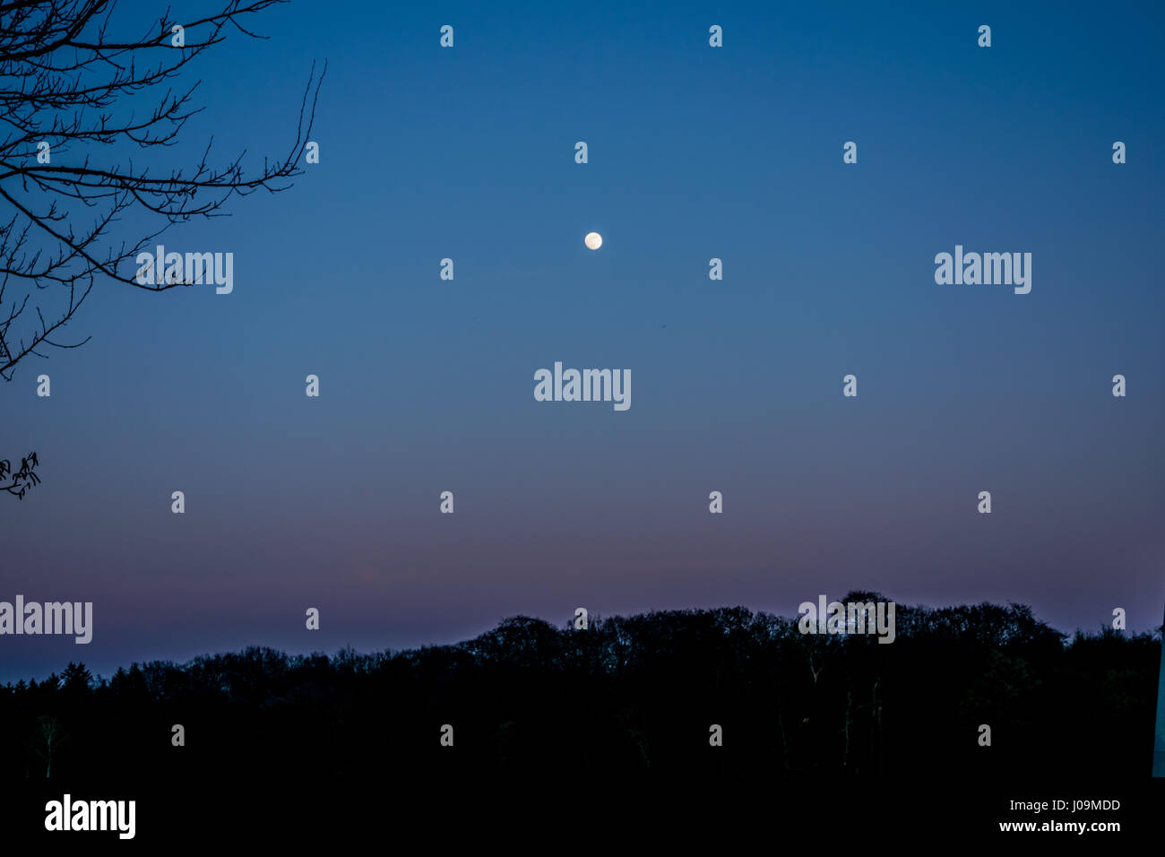 beautiful moon at sunset with a blue sky and environment Stock Photo ...