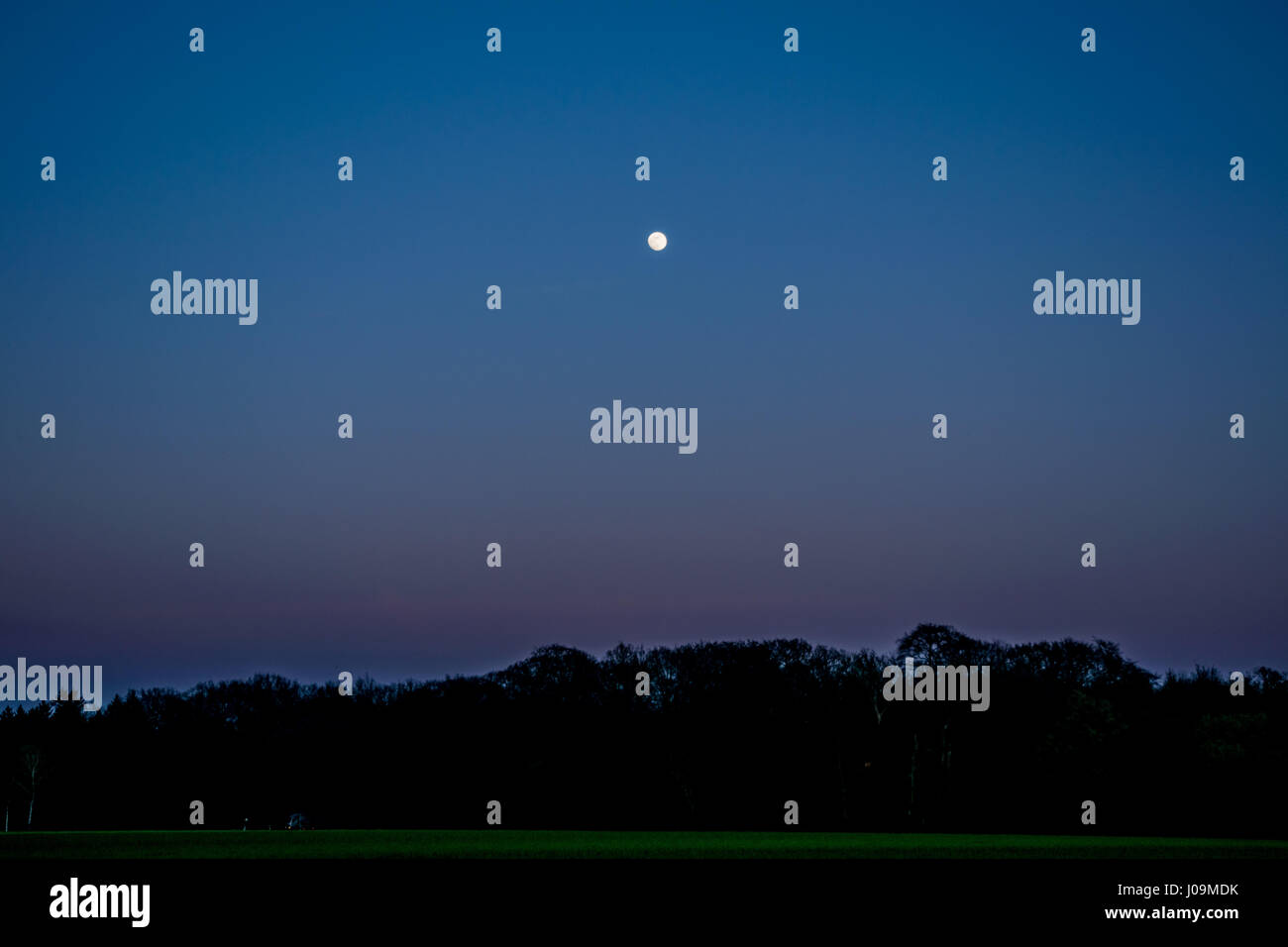 beautiful moon at sunset with a blue sky and environment Stock Photo ...