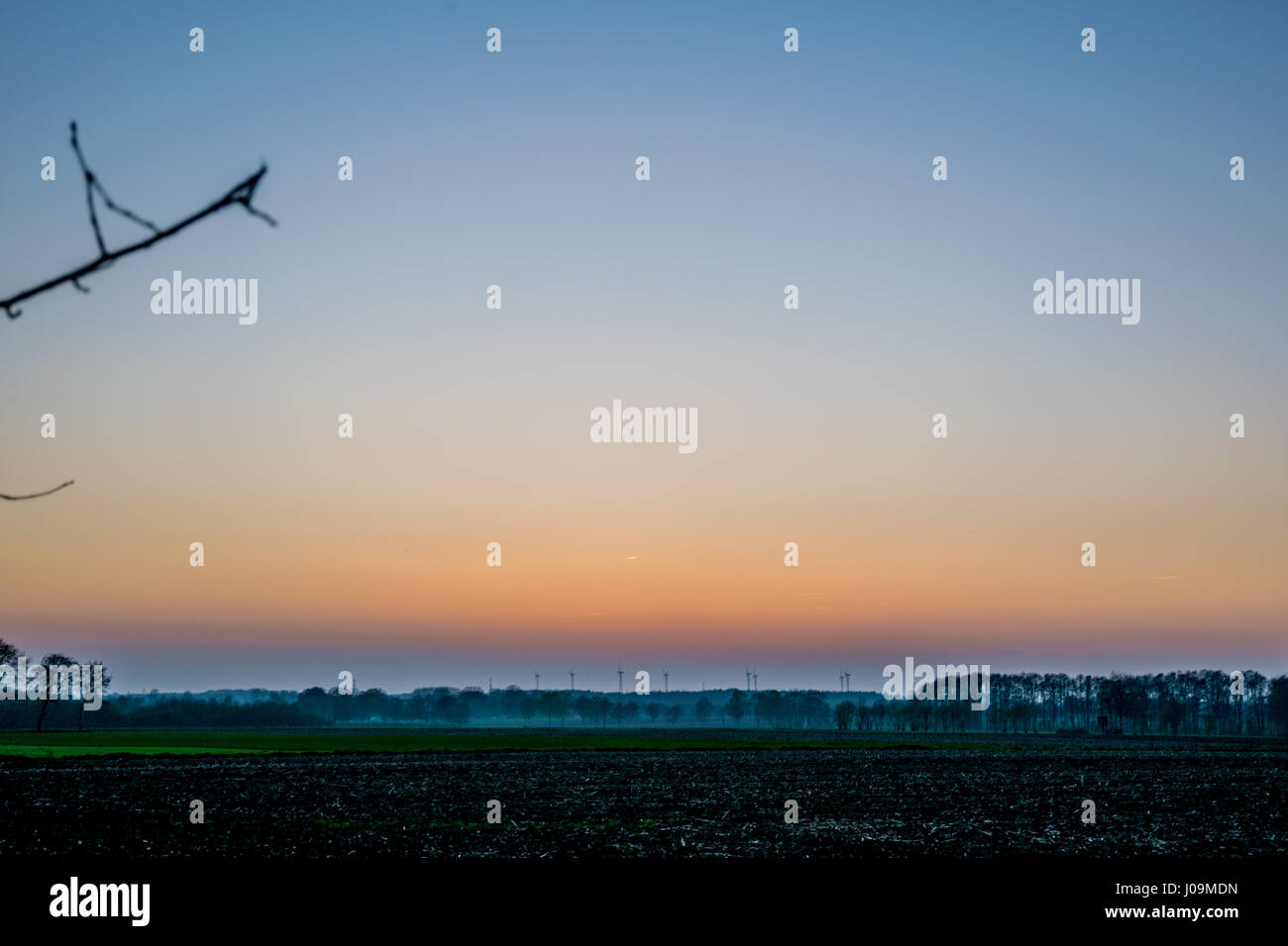 long field at dusk with beautiful colors and background Stock Photo - Alamy