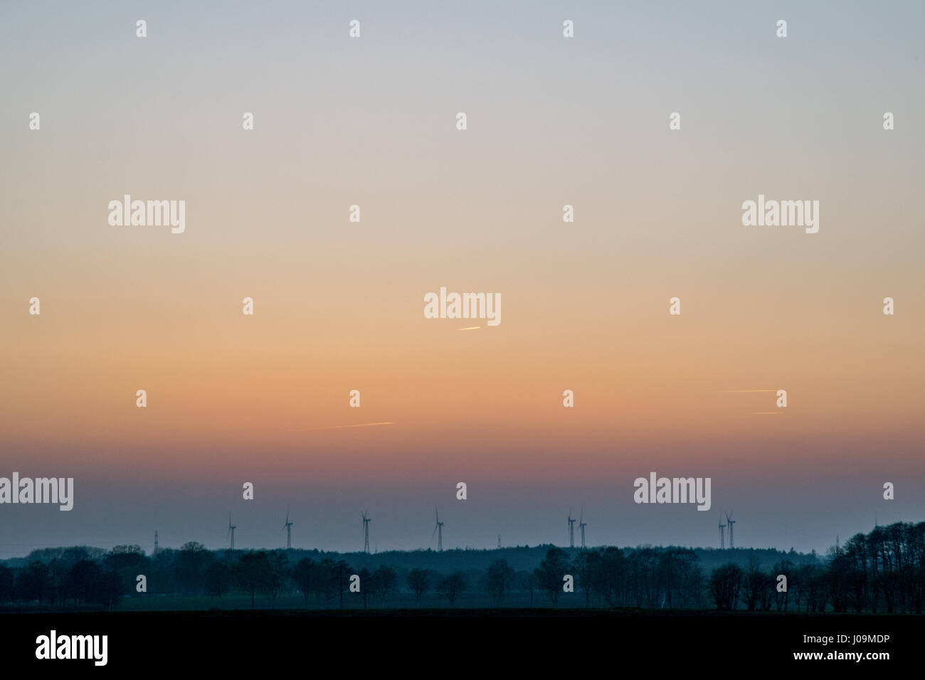long field at dusk with beautiful colors and background Stock Photo - Alamy