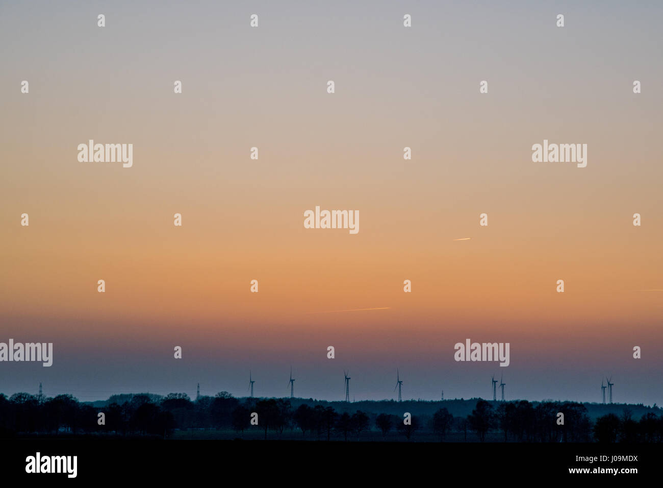 long field at dusk with beautiful colors and background Stock Photo - Alamy
