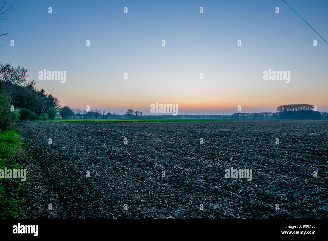 long field at dusk with beautiful colors and background Stock Photo - Alamy