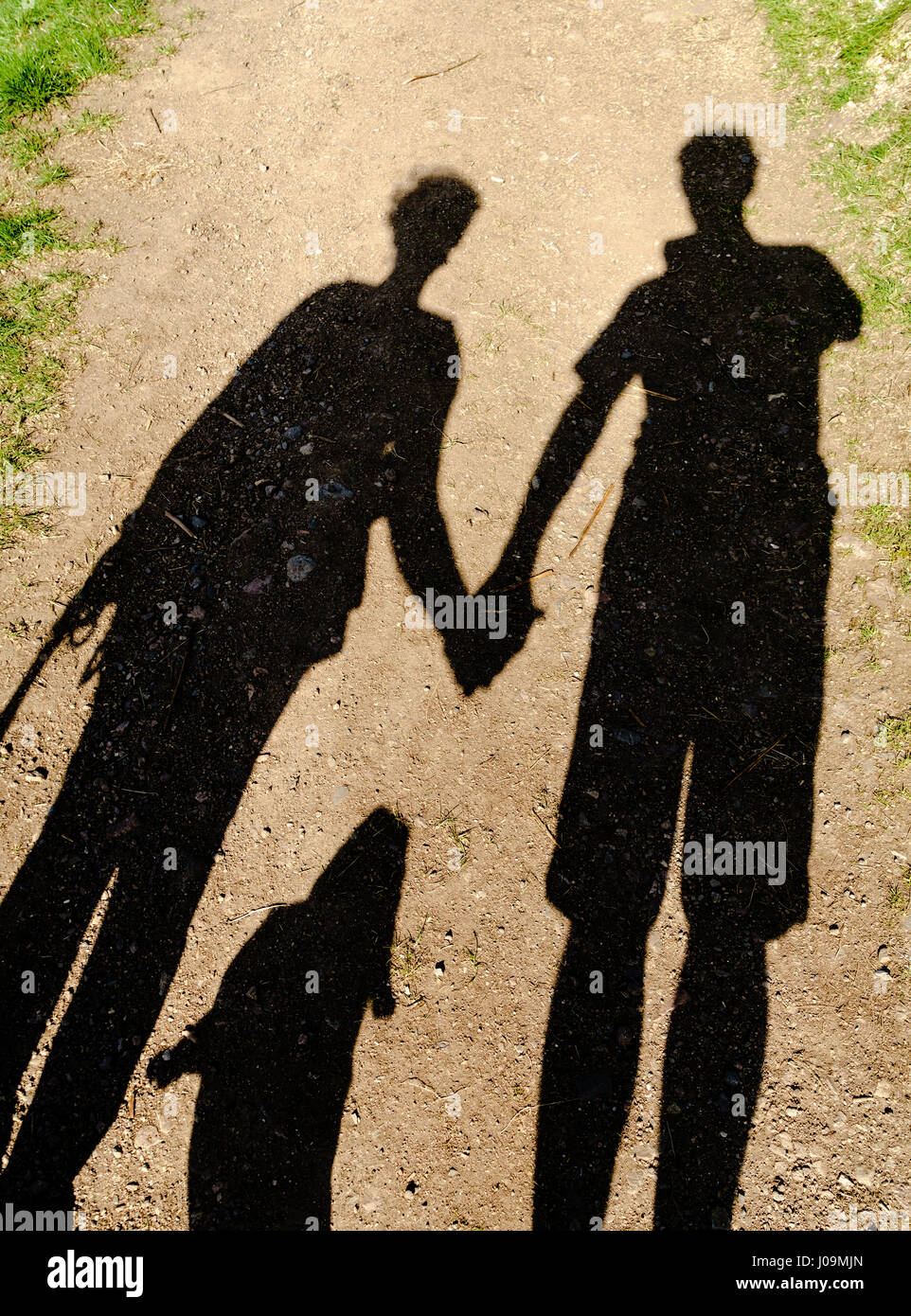 Shadows of two people holding hands and a dog walking outdoors Stock ...