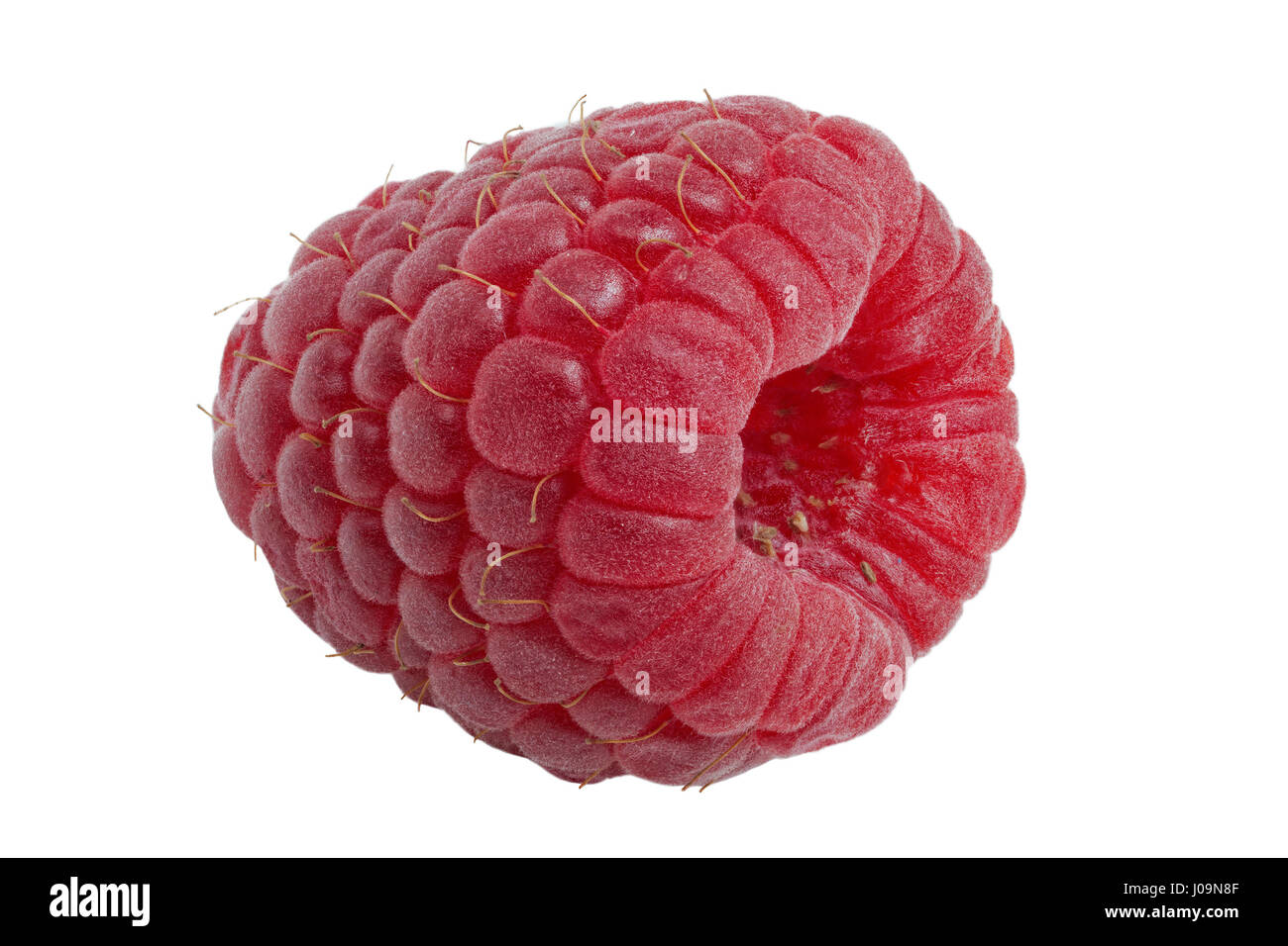 Raspberry isolated on white background Stock Photo - Alamy