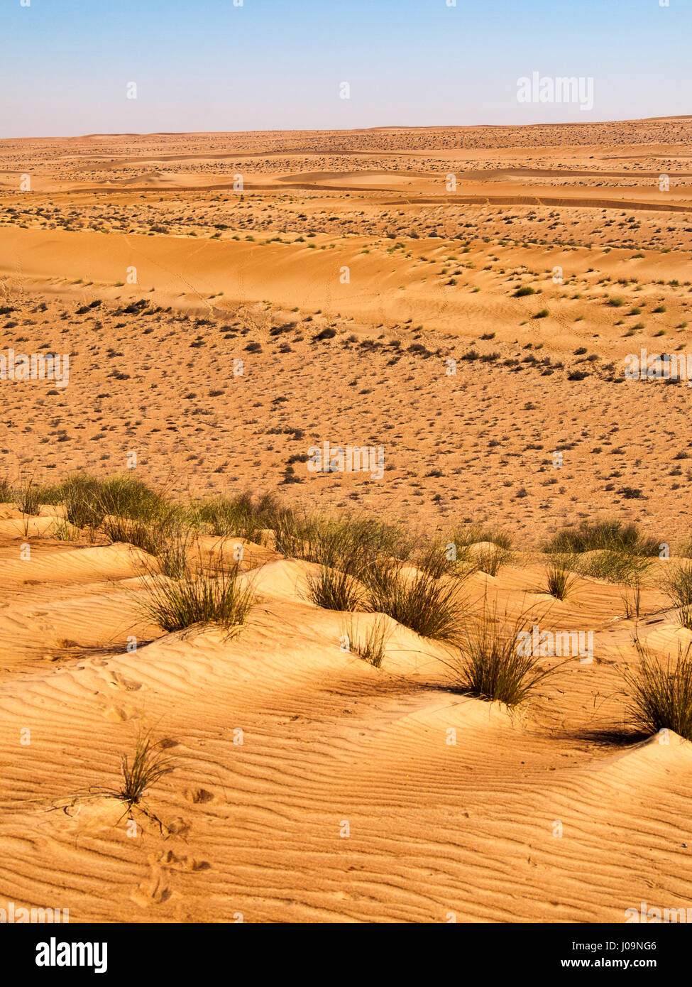 Wahiba Sand Desert, Oman Stock Photo - Alamy