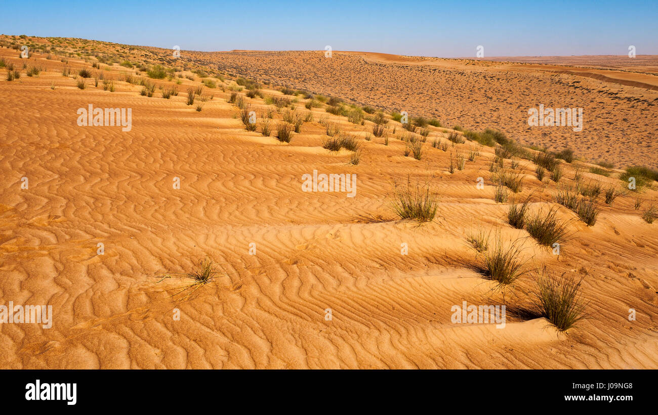 Wahiba Sand Desert, Oman Stock Photo - Alamy