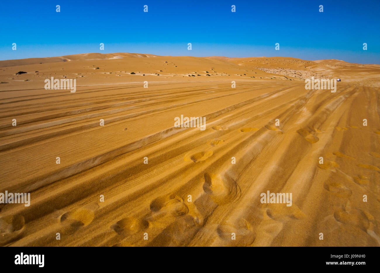 Wahiba Sand Desert, Oman Stock Photo - Alamy