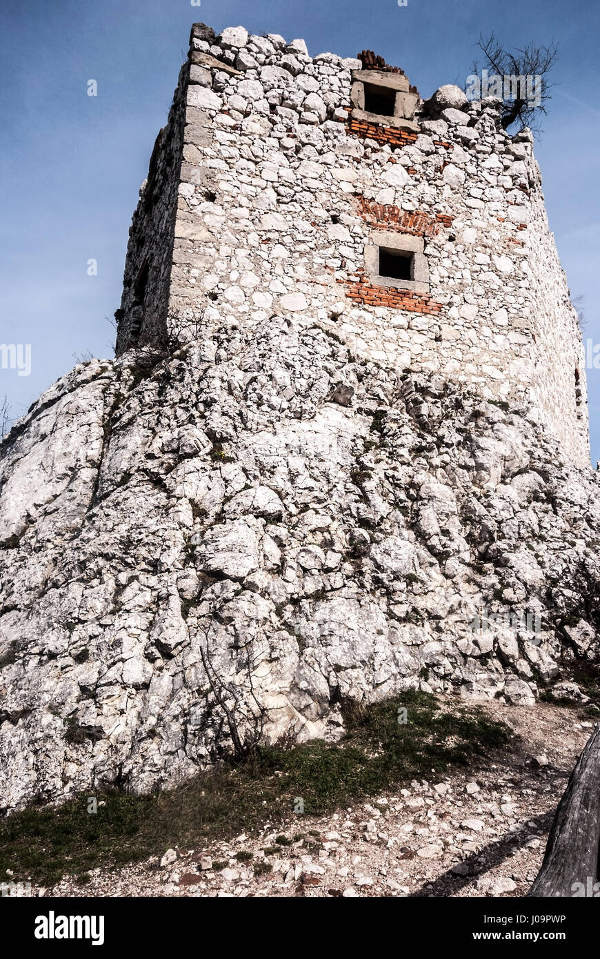 ruins of medieval Divci hrad castle in northern part of Palava ...