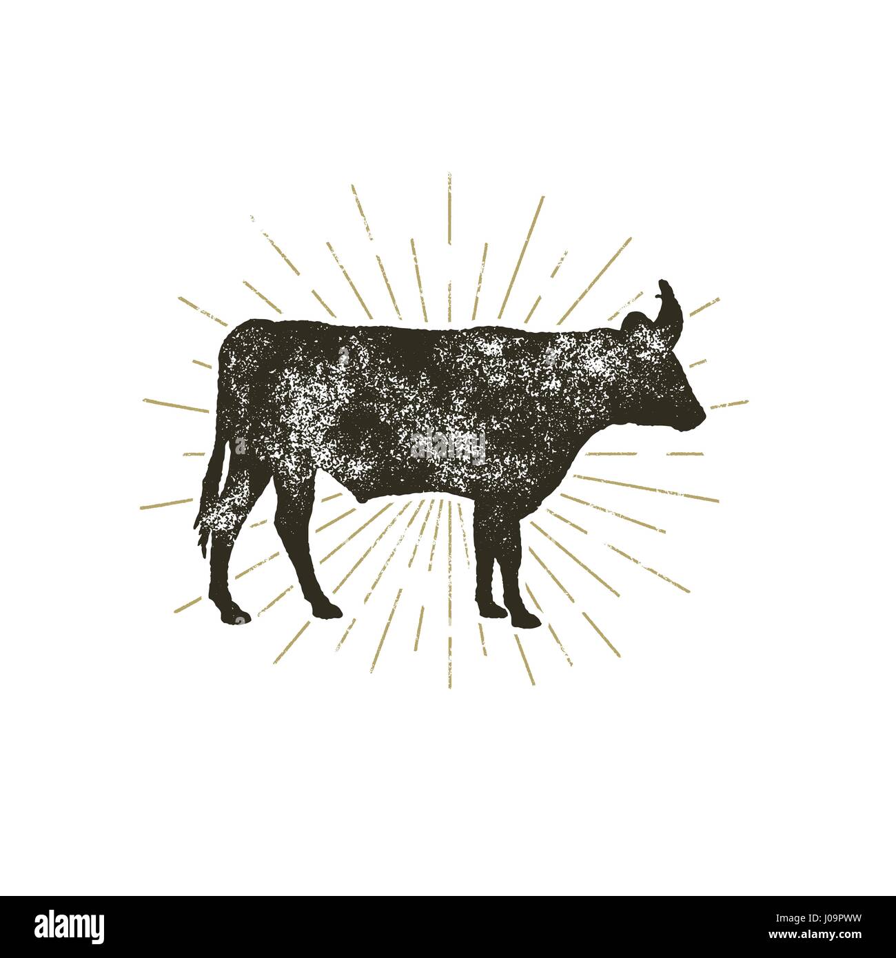 Vintage hand drawn cow icon. Farm animal silhouette shape. Retro black ...