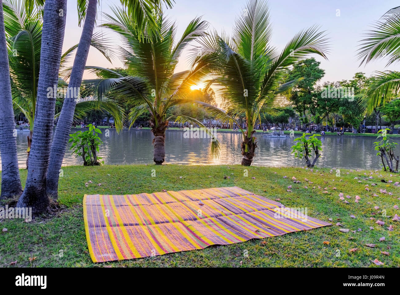 Exotic sunset scene by the lake in Chatuchak park in Bangkok Stock ...