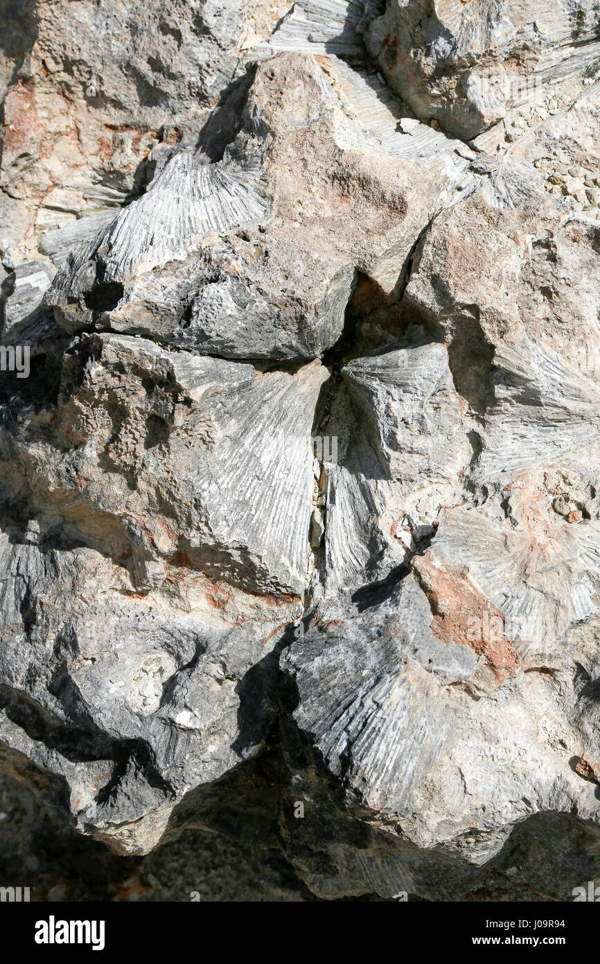 The best beaches of Aruba: Boca Prins Stock Photo - Alamy