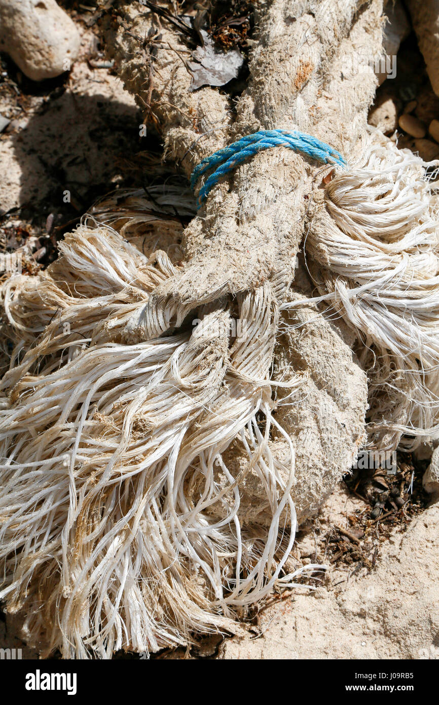 The best beaches of Aruba: Boca Prins Stock Photo - Alamy