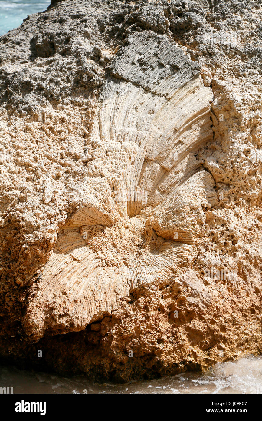 The best beaches of Aruba: Boca Prins Stock Photo - Alamy