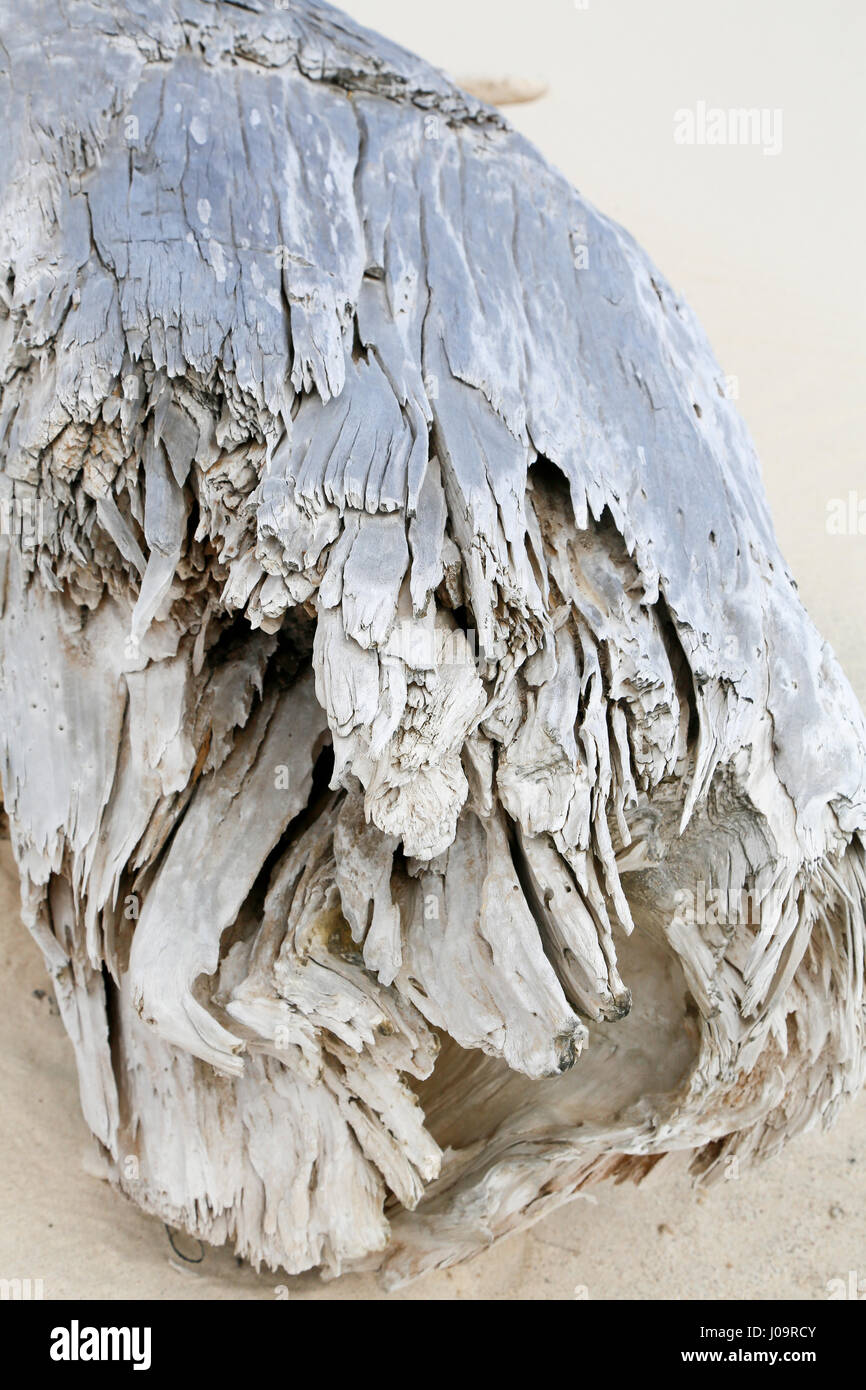 The best beaches of Aruba: Boca Prins Stock Photo - Alamy