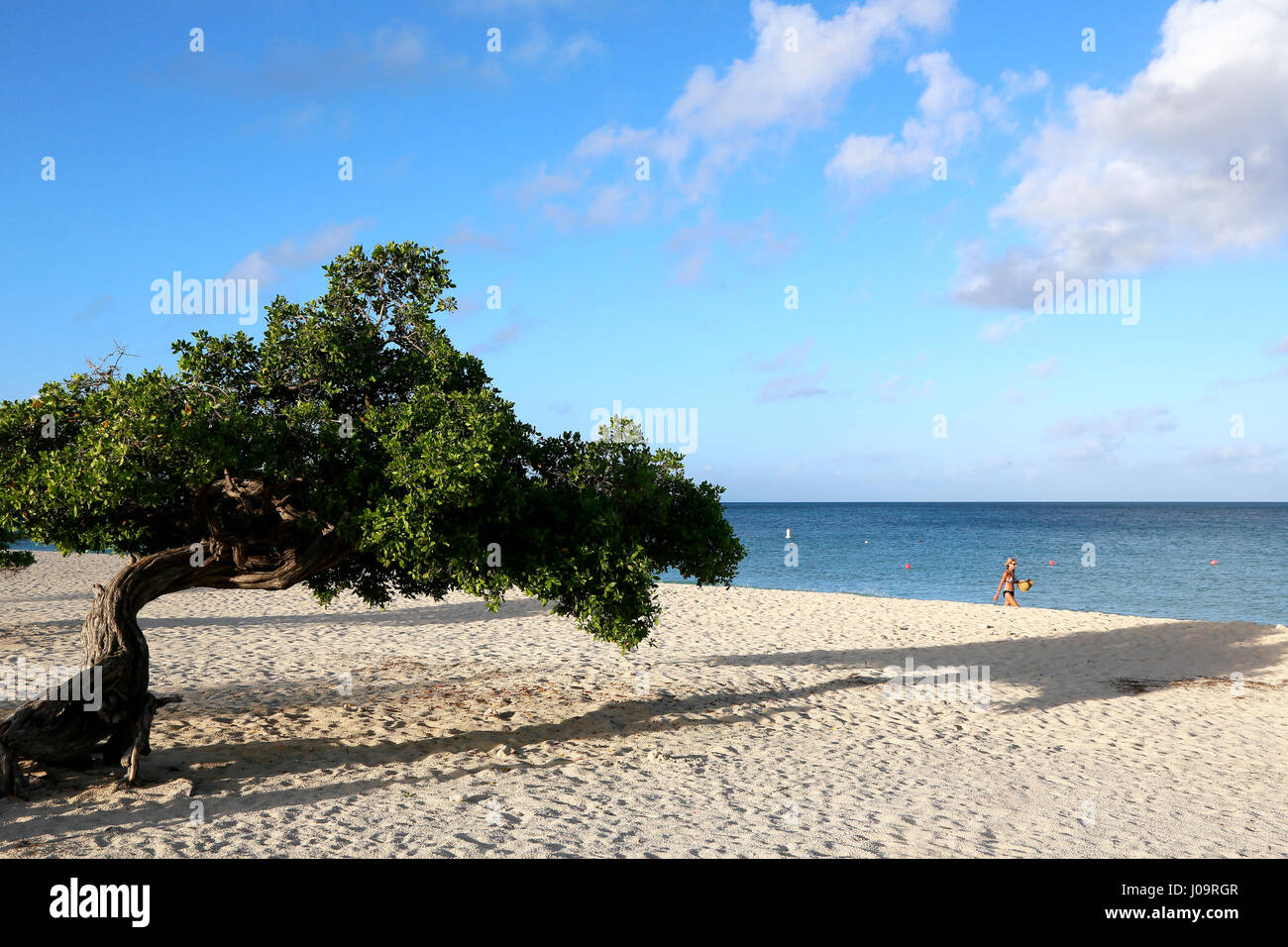 Aruba Netherlands Antilles Eagle Beach High Resolution Stock ...