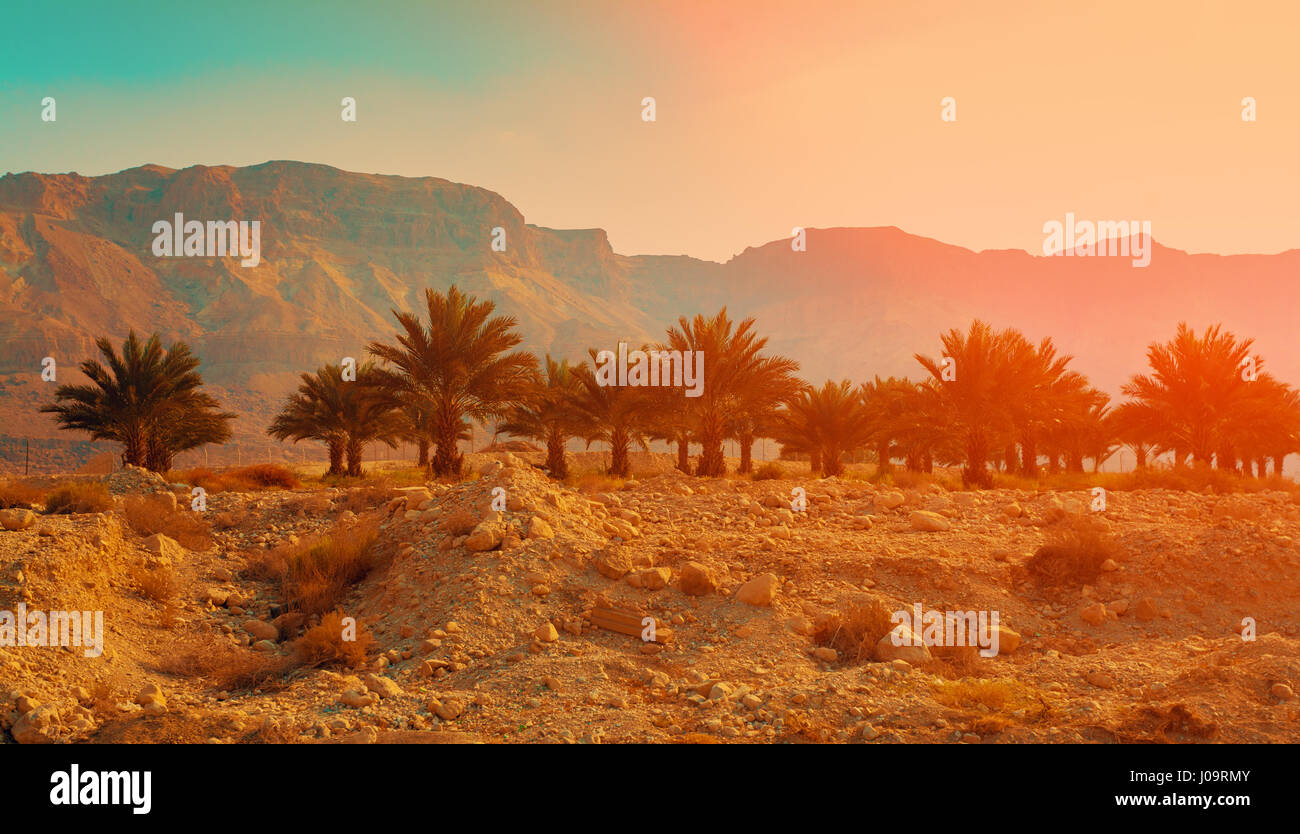 Judean desert in Israel at sunset Stock Photo - Alamy