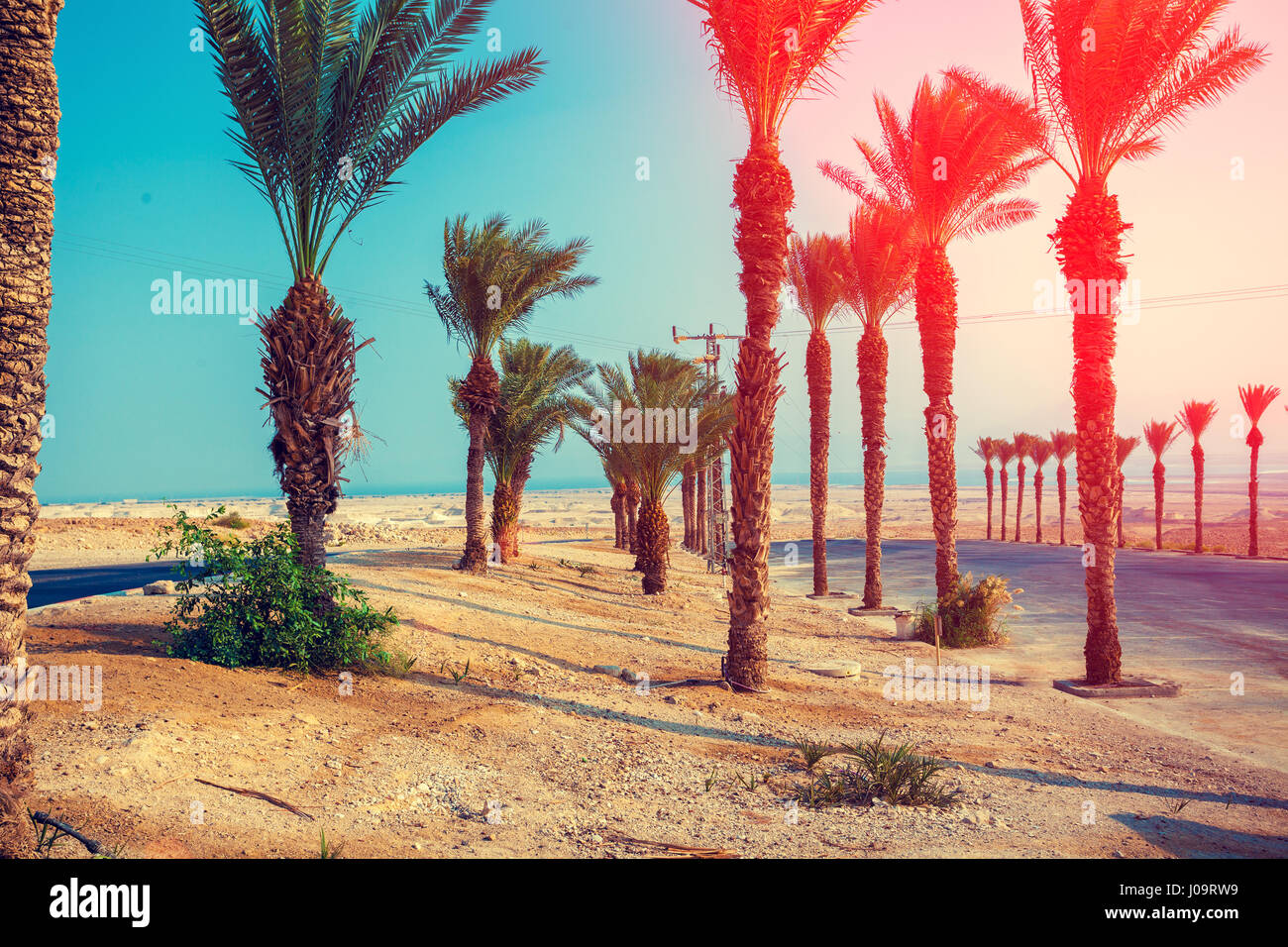 Judeuan hi-res stock photography and images - Alamy