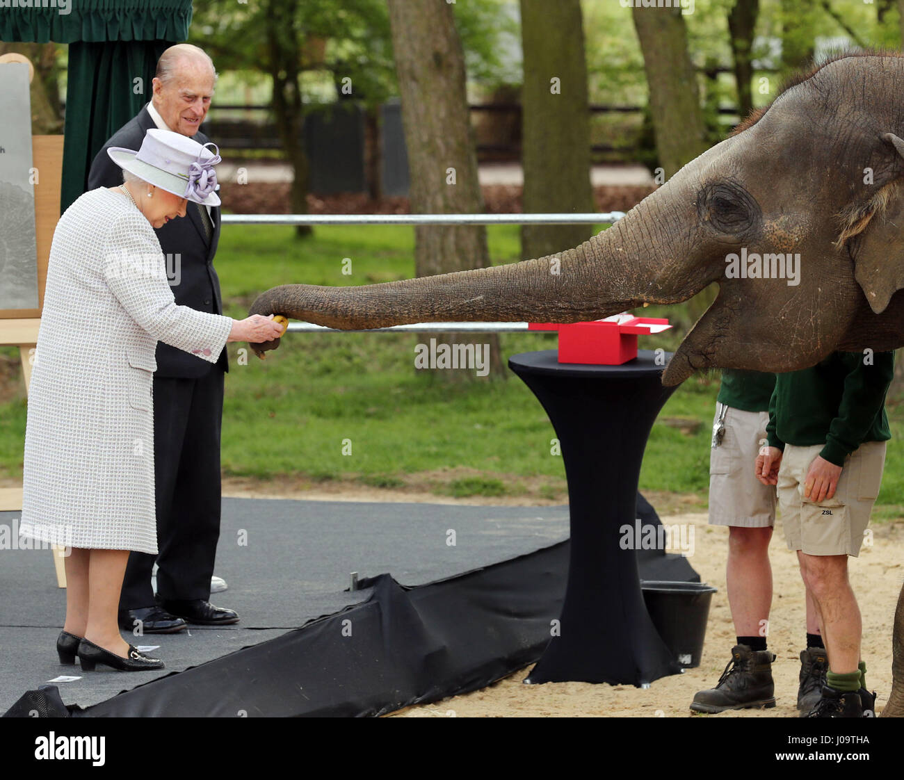 Queen Elizabeth II and the Duke of Edinburgh with an elephant at ZSL ...