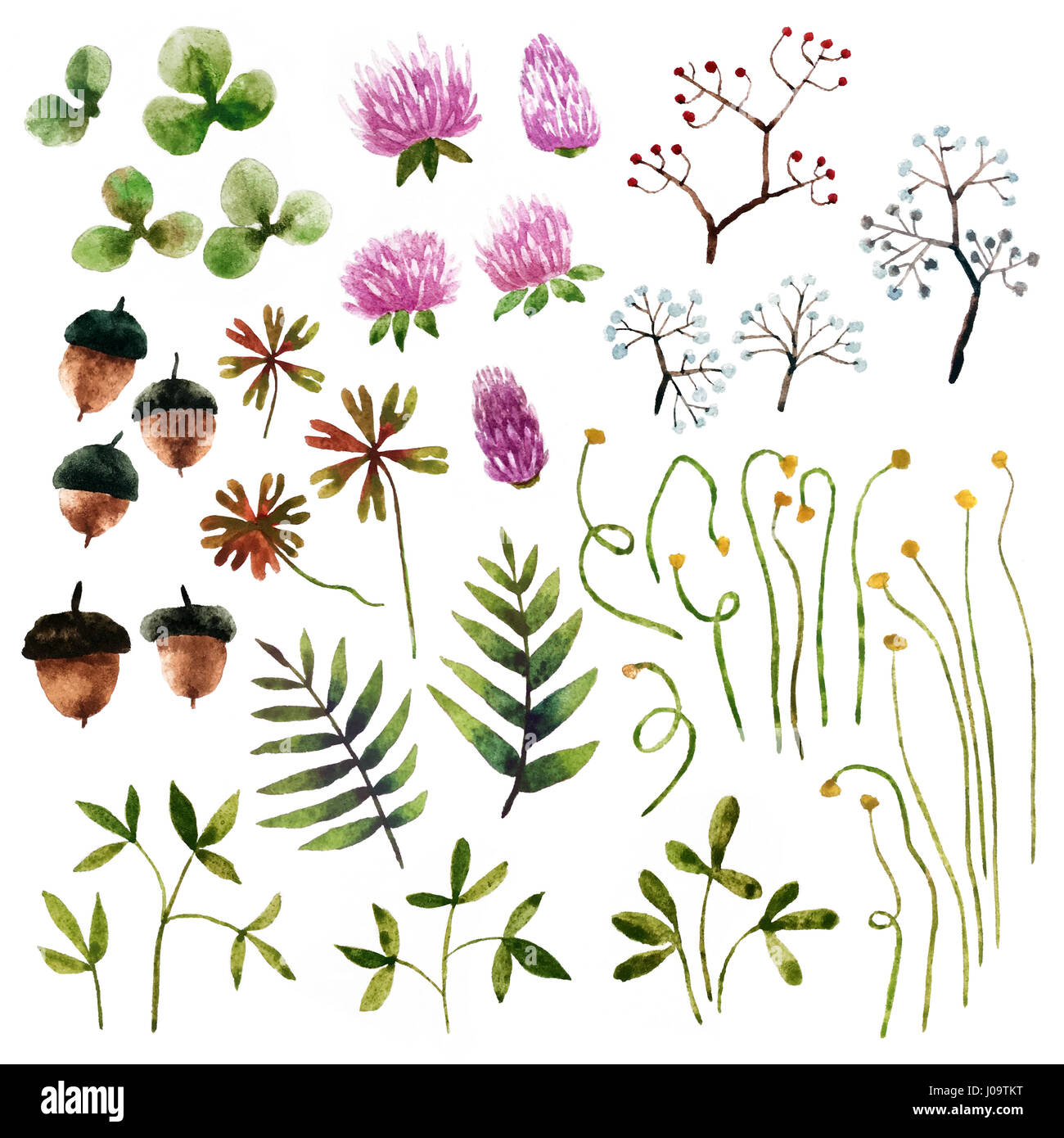 Vintage botanical design fern Cut Out Stock Images & Pictures - Alamy