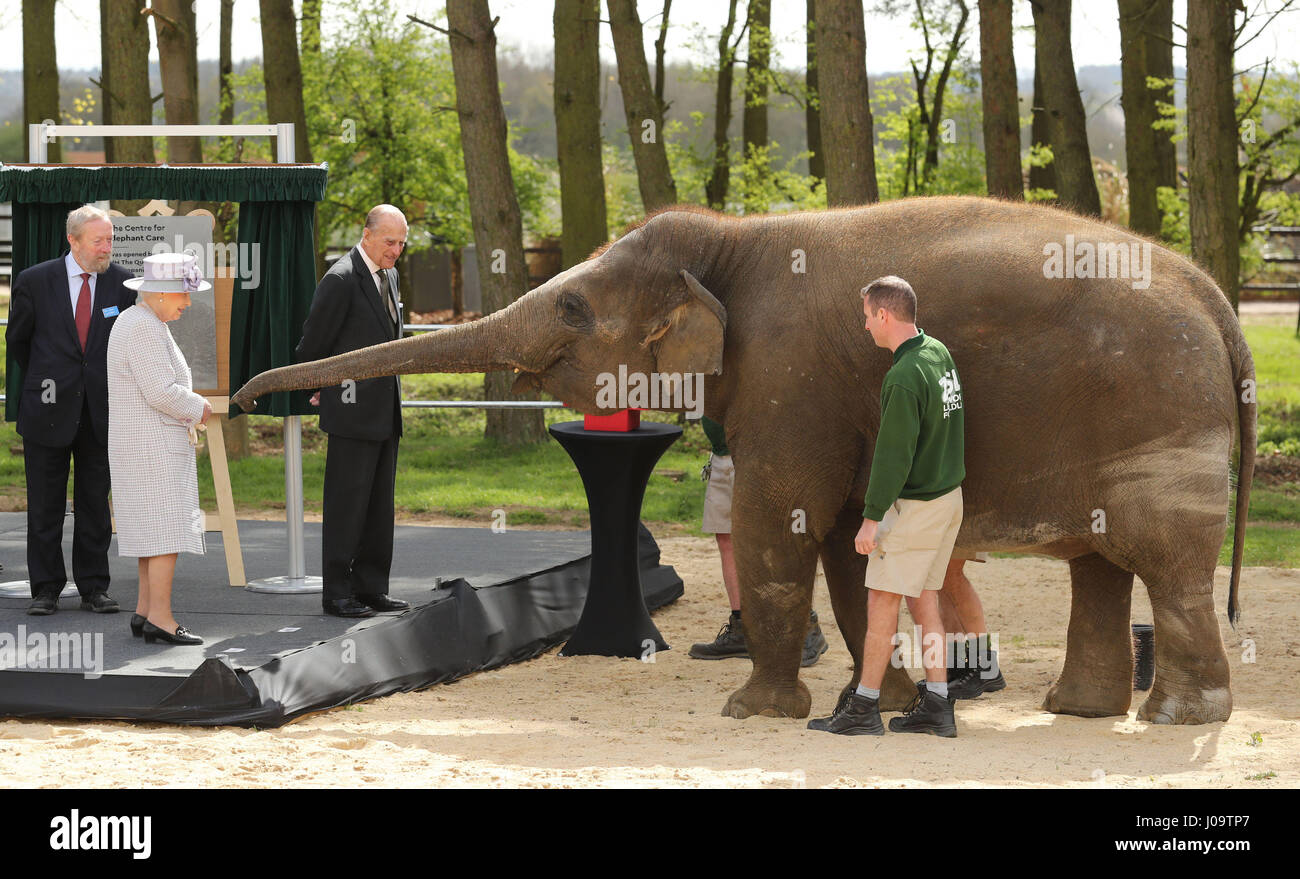 Queen Elizabeth II and the Duke of Edinburgh with an elephant at ZSL ...