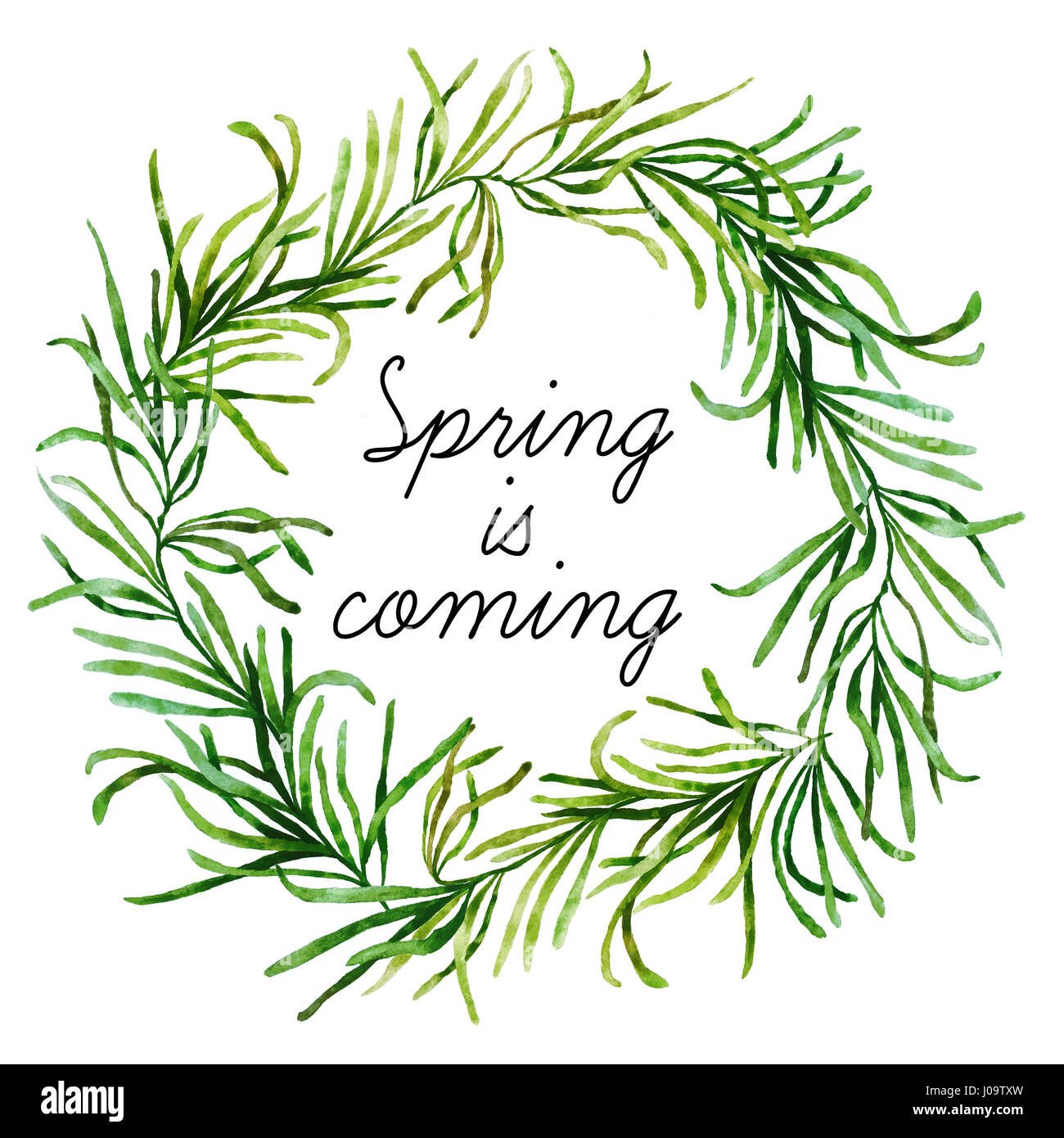 Big watercolor botanical wreath. Beautiful botanical wreath isolated on ...