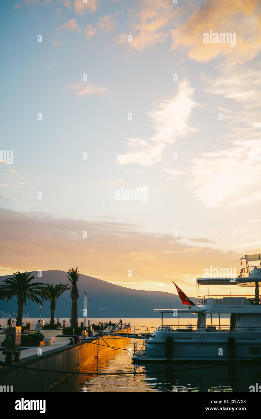 Silhouette of a palm tree at sunset Stock Photo - Alamy