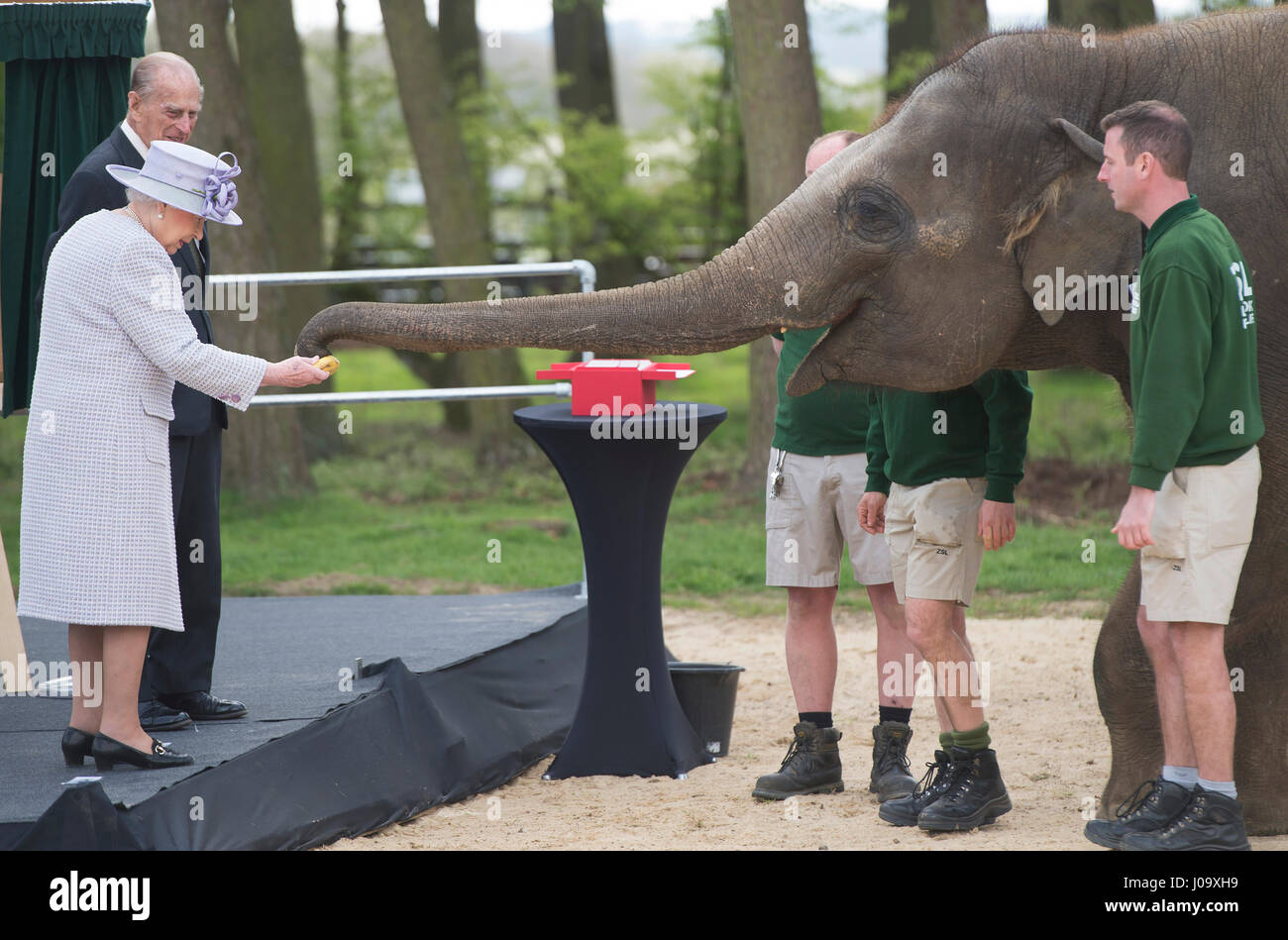 Queen Elizabeth II feeds Donner the elephant at ZSL Whipsnade Zoo ...